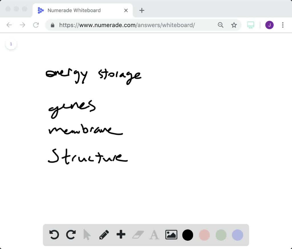 SOLVED:Which of the following is a function of proteins in cells? a ...