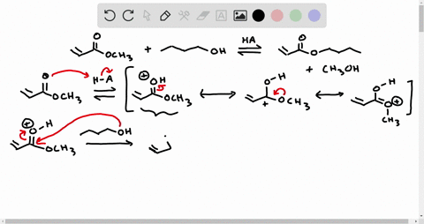 SOLVED:(A): Acid catalysed hydrolysis of ester is reversible on the ...