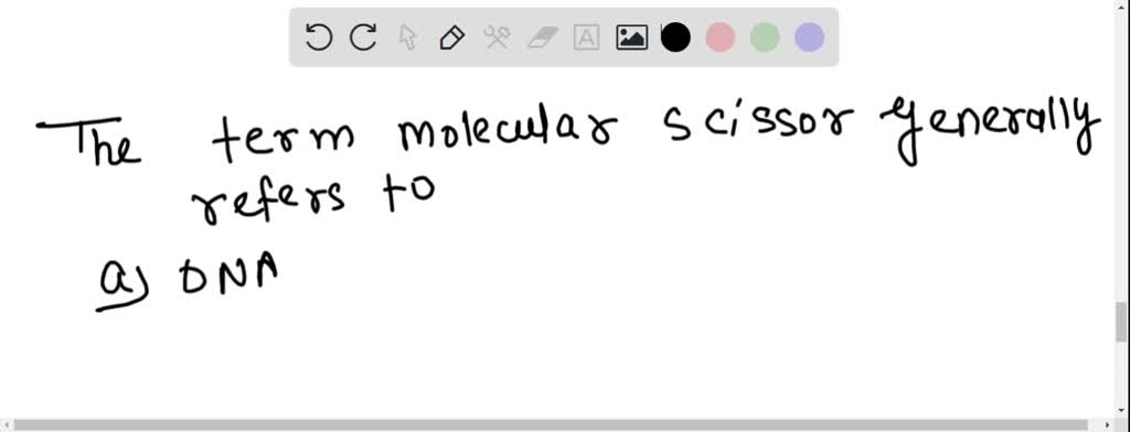 SOLVED:The term 'molecular scissor' generally refers to (a) DNA ...
