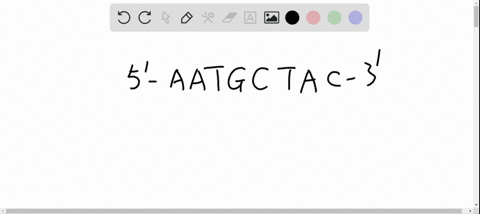 SOLVED:If the sequence of the 5' to 3' strand is AATGCTAC, then the complementary sequence has ...