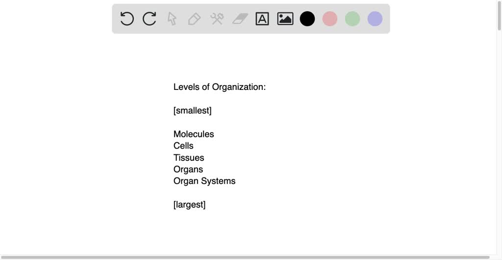 The basic building blocks of the body are A. organs. C. tissues. B ...