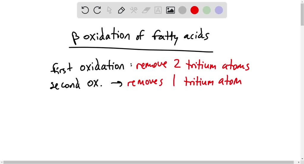 solved-an-investigator-adds-palmitate-uniformly-labeled-with-tritium