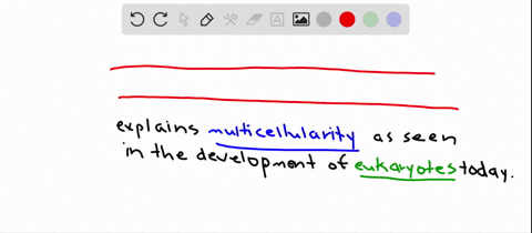 SOLVED:Which of the following explanations of multicellularity in ...