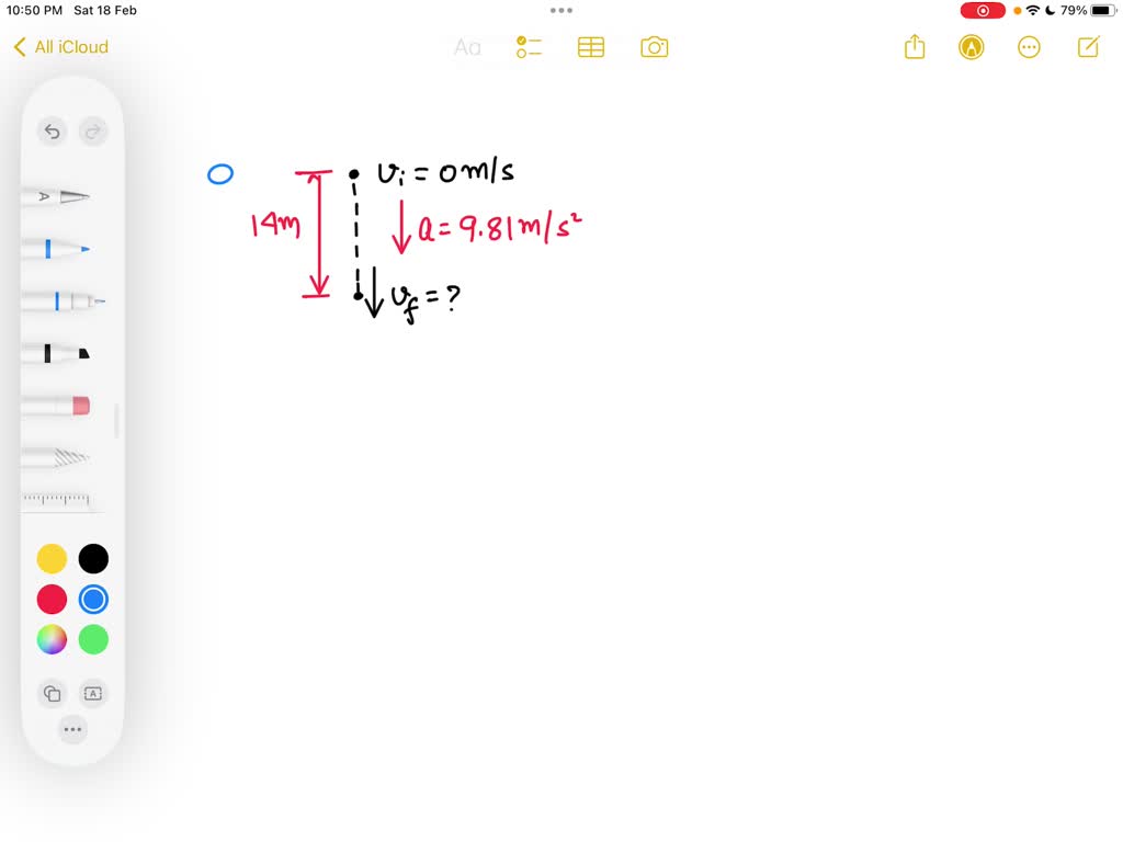 SOLVED:Seagulls are often observed dropping clams and other shellfish ...