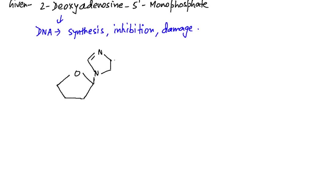 Draw the structure of 2^' -deoxyadenosine 5^' -monophosphate, dAMP, and ...