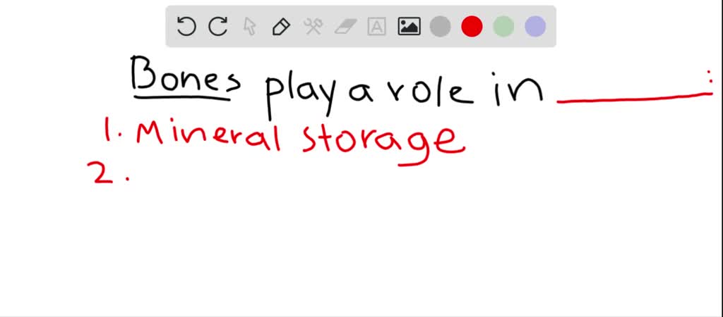 All Of The Following Are Important Roles Of The Skeletal System Except 