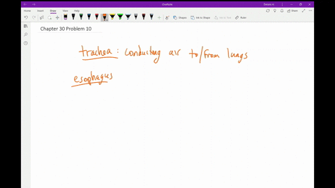 ⏩SOLVED:The trachea conducts air to the lungs, whereas the esophagus ...
