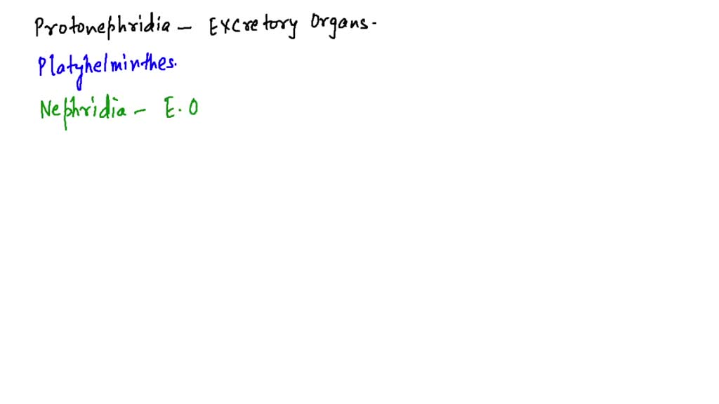 SOLVED:The excretory organ present in the organism given in figure is ...
