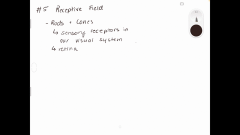 SOLVED:The collection of rod and cone receptors that funnel signals to ...