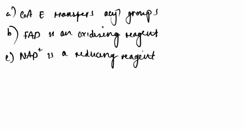 SOLVED:The coenzyme tetrahydrofolate (THF) participates in single ...