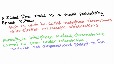 SOLVED:Describe the "folded-fiber" model of the mitotic chromosome.