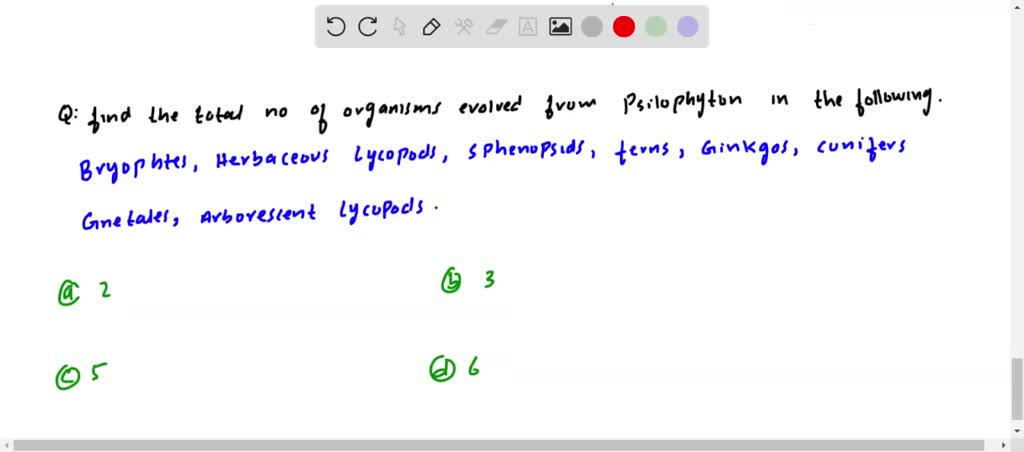 Find the total number of organisms evolved from Psilophyton in the ...