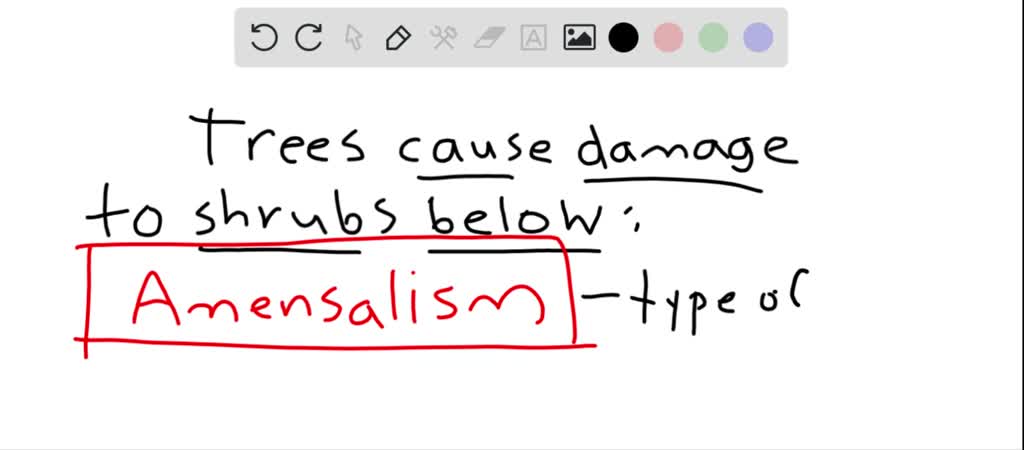 SOLVED:Damage caused to shrubs by branches falling from overhead trees ...
