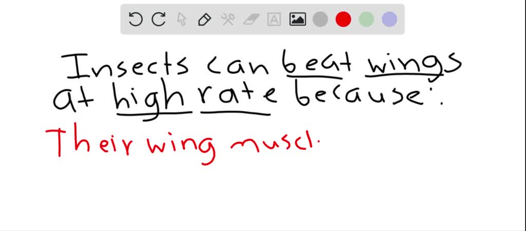SOLVED:Insects can beat their wings at exceptionally high frequencies ...