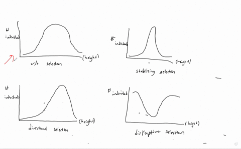 ⏩SOLVED:Draw four simple graphs, each with a range of phenotypes ...