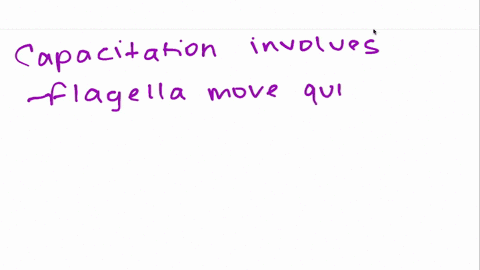 SOLVED:Capacitation includes all of the following EXCEPT a. faster ...