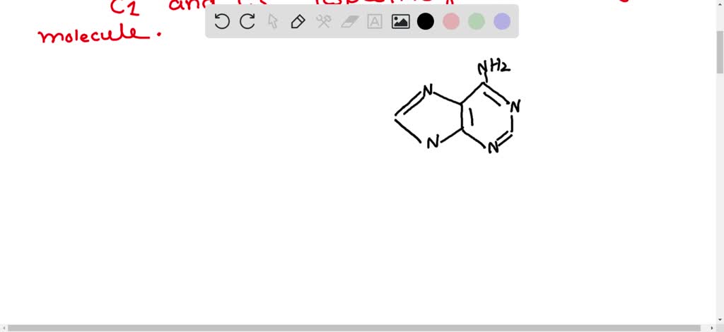 SOLVED:In both DNA and RNA heterocyclic base and phosphate ester ...