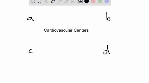 SOLVED:The cardiovascular centers are located in which area of the ...
