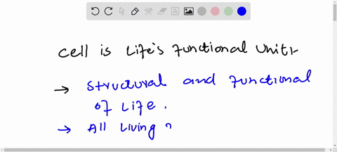SOLVED:What is functional autonomy?