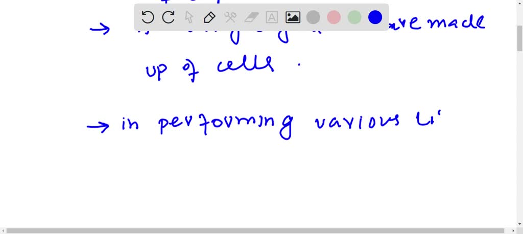 Solved Ejemplo De La Célula Es La Unidad Funcional De Los Seres Vivos