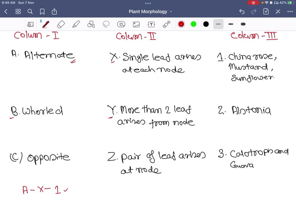 ⏩SOLVED:Combined ABC-XYZ Classification A combined ABC-XYZ… | Numerade