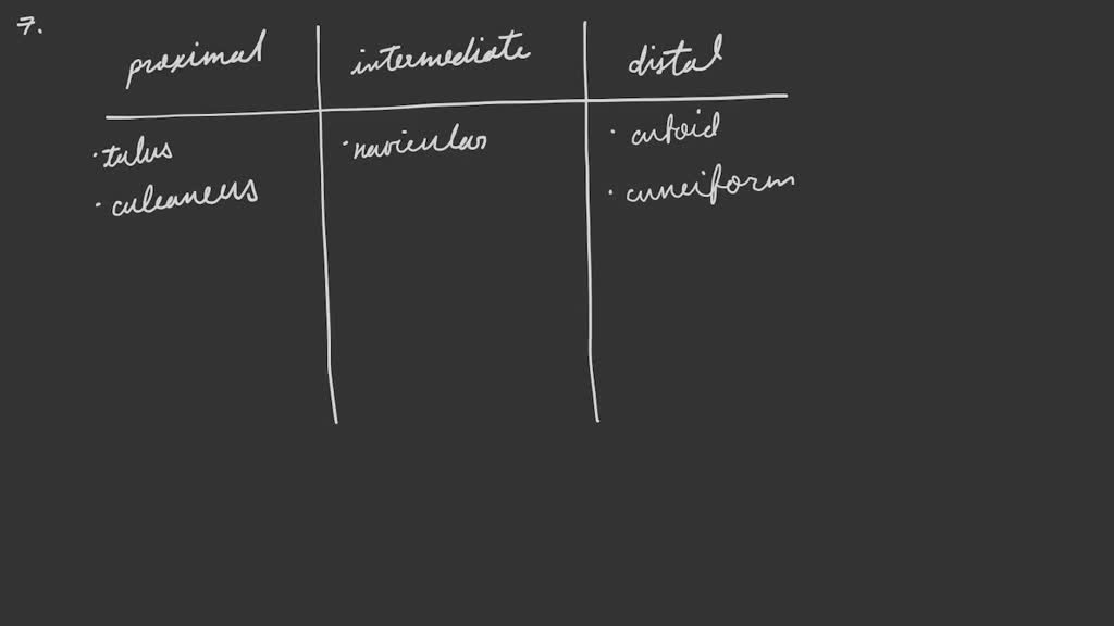 SOLVED:Use this tutorial (http://openstaxcollege.org/1/ footbones) to review the bones of the ...