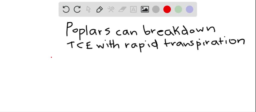 Panuto:Bilugan ang titik ng tamang sagot sa mga susunod na pahayag. 1 ...