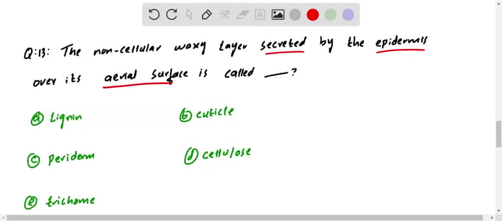 SOLVED:The noncellular waxy layer secreted by the epidermis over its ...
