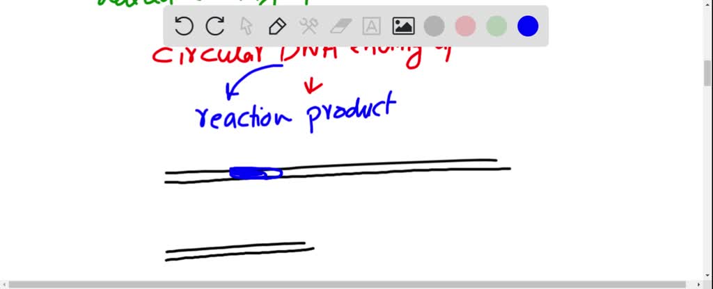 SOLVED:Using PCR to Detect Circular DNA Molecules In a species of ...