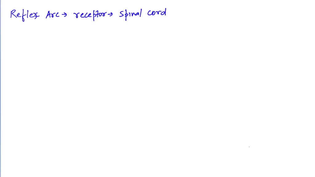 SOLVED:A polysynaptic reflex arc contains sensory neurons, interneurons ...