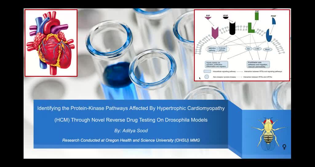 SOLVED:The value contained within the square brackets that is used to ...