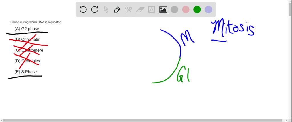 ⏩SOLVED:Directions: Each group of questions consists of five… | Numerade