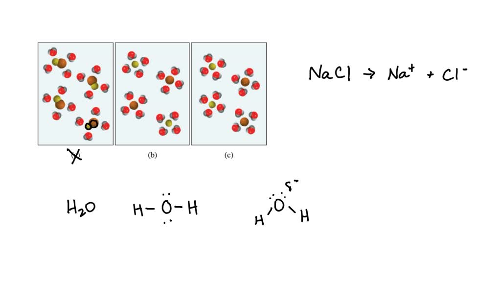 Which diagram (a)-(c) best represents the hydration of NaCl when ...