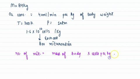 Raymond Lindeman, from the University of Minnesota, was the first ...
