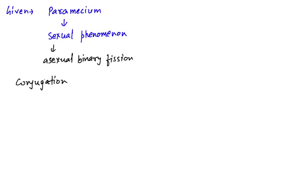 SOLVED:Paramecium and other ciliates often display a sexual phenomenon ...