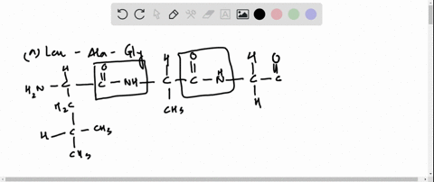 draw the tripeptide gly phe ala 48272