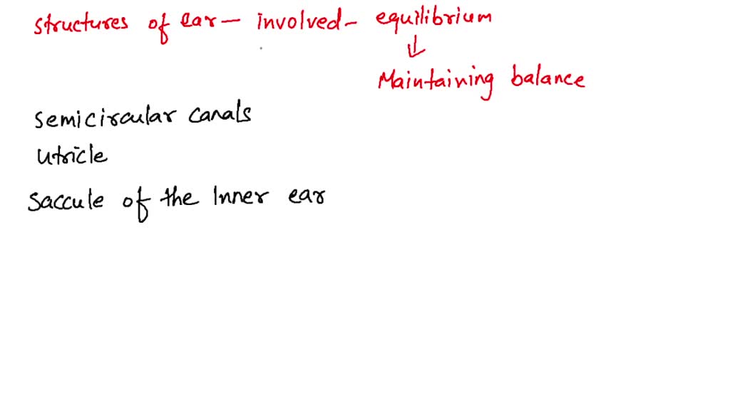 SOLVED:What structures are involved in equilibrium, their structures ...