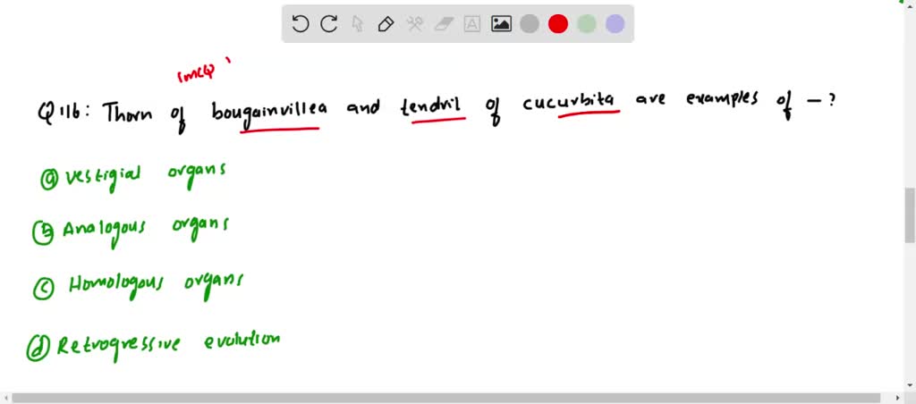 SOLVED:Thorn of bougainvillea and tendril of cucurbita are examples of ...
