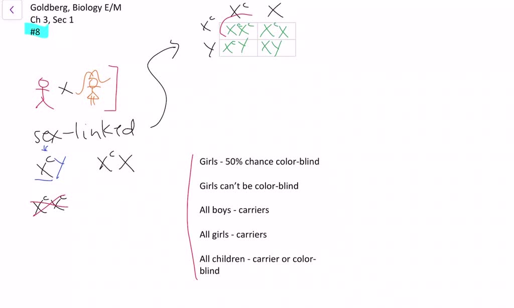 SOLVED A Man Who Is Color blind Marries A Woman Who Has Normal Color