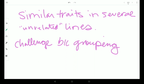 SOLVED:What is homoplasy? Why does homoplasy make it more challenging ...