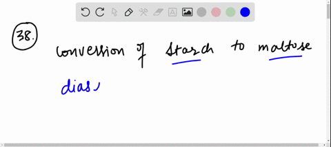 ⏩SOLVED:Diastase enzyme is required for the conversion of starch to ...
