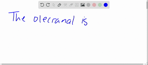 SOLVED: Use as many directional terms as you can to describe the ...