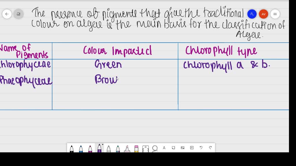 SOLVED What Is The Basis Of Classification Of Algae 