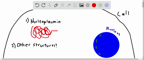 SOLVED:Propose an experiment that would determine if the NLS in ...