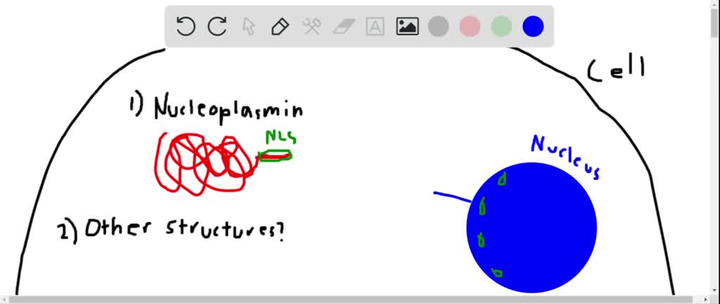 SOLVED:Propose an experiment that would determine if the NLS in ...