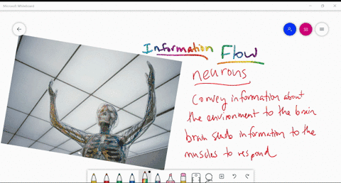 SOLVED:If you step on a sharp object, pain receptors in your foot ...