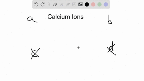 Question 19 The structure that stores calcium ions in muscle...