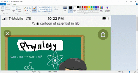 SOLVED: A phycologist studies which of the following? a. classification ...