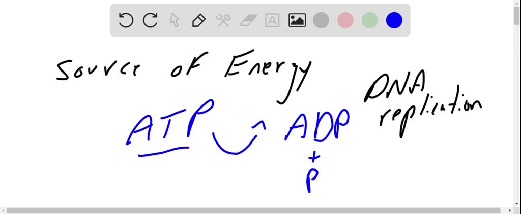 SOLVED:The immediate source of energy for DNA replication is (a) the ...