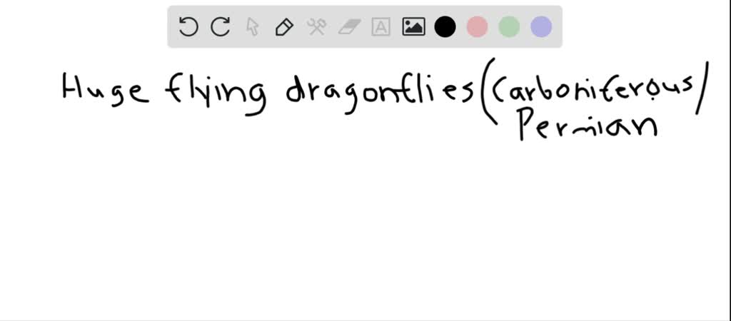 SOLVED: A huge flying reptile that died out with the dinosaurs some 65 ...